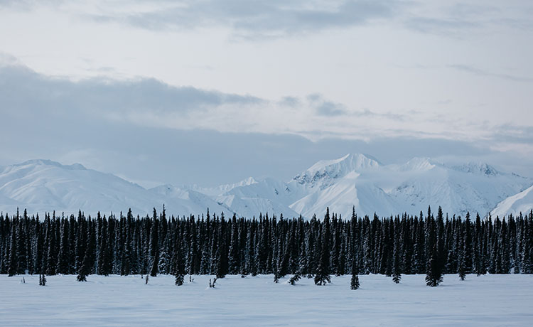 7 Pretty Weather Apps To Make Winter More Tolerable | Carley K.